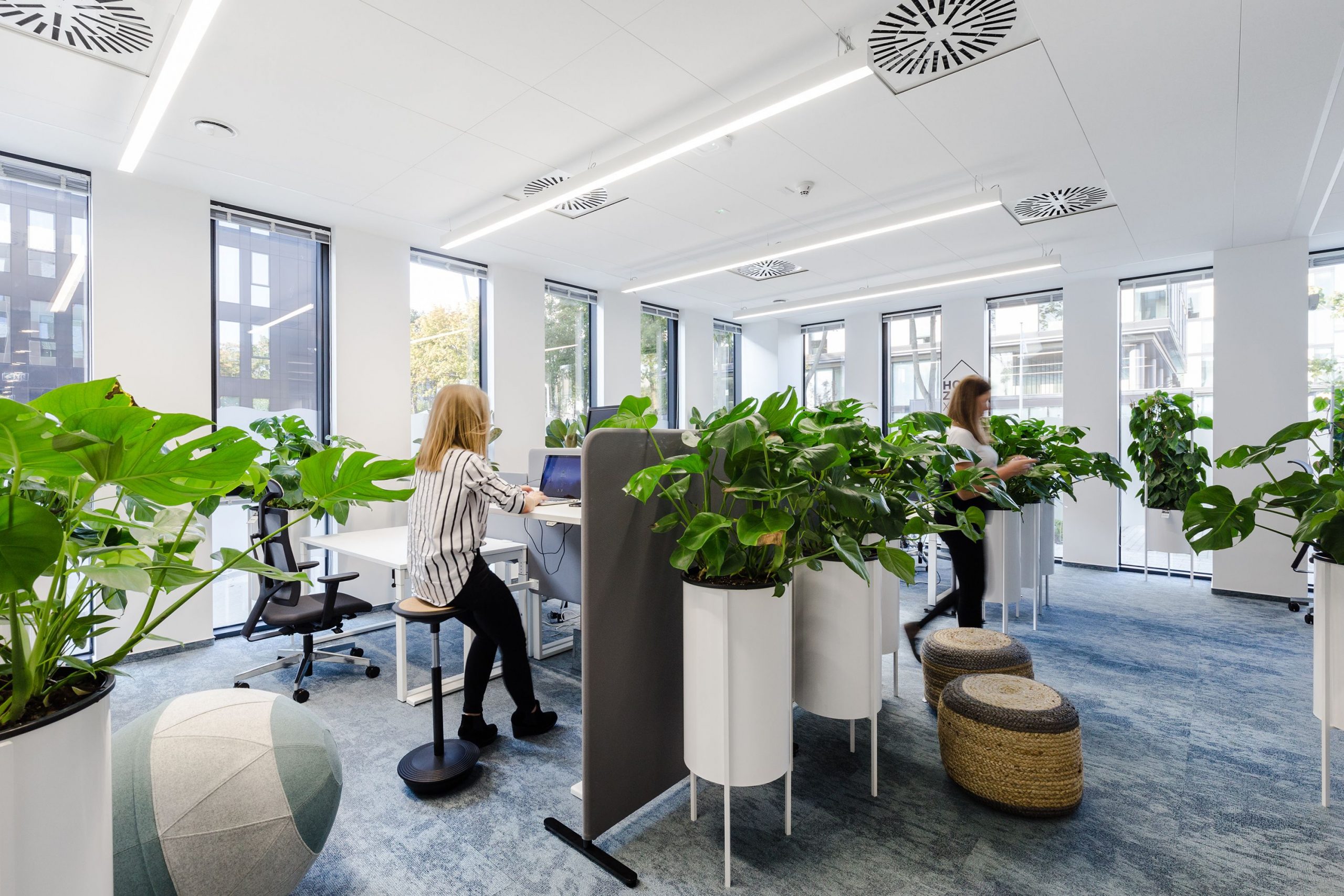 Workplace Plant Designers - Biozenic